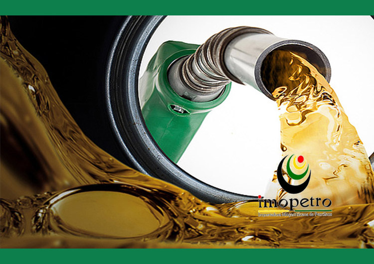 Shelzer Tembe| Portifólio