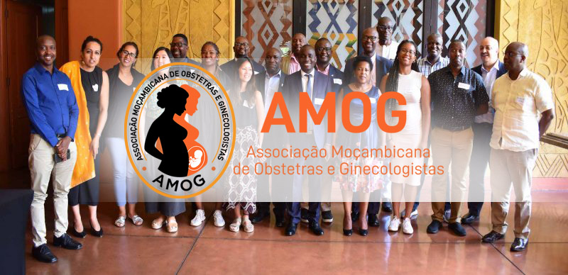 Shelzer Tembe| Portifólio